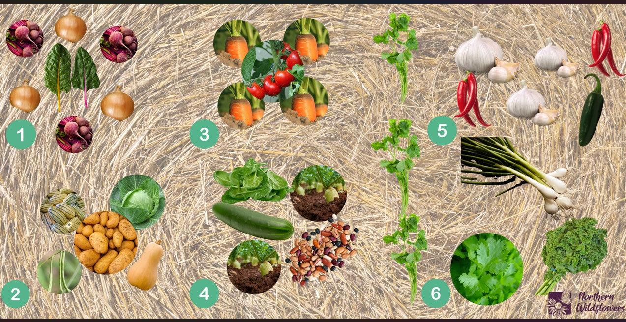 Garden Design: Staple Crops, Nutrient-Dense Crops & Fun Crops ...
