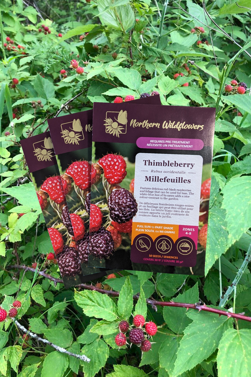 Thimbleberry/ Black Cap Raspberry Seed – Northern Wildflowers