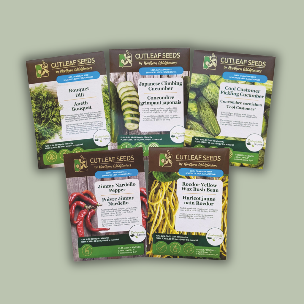 Pickling Seed Collection – Northern Wildflowers