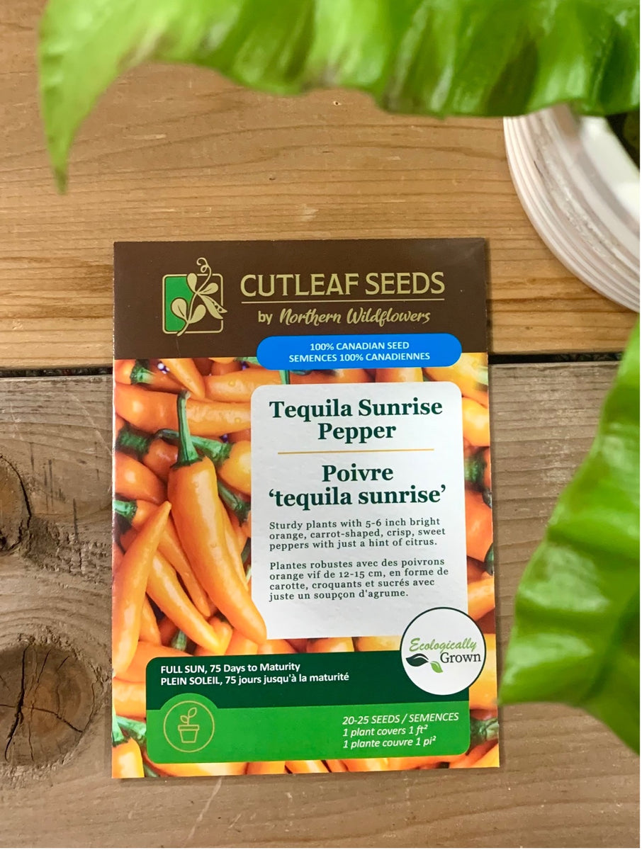 Peppers, Tequila Sunrise – Northern Wildflowers